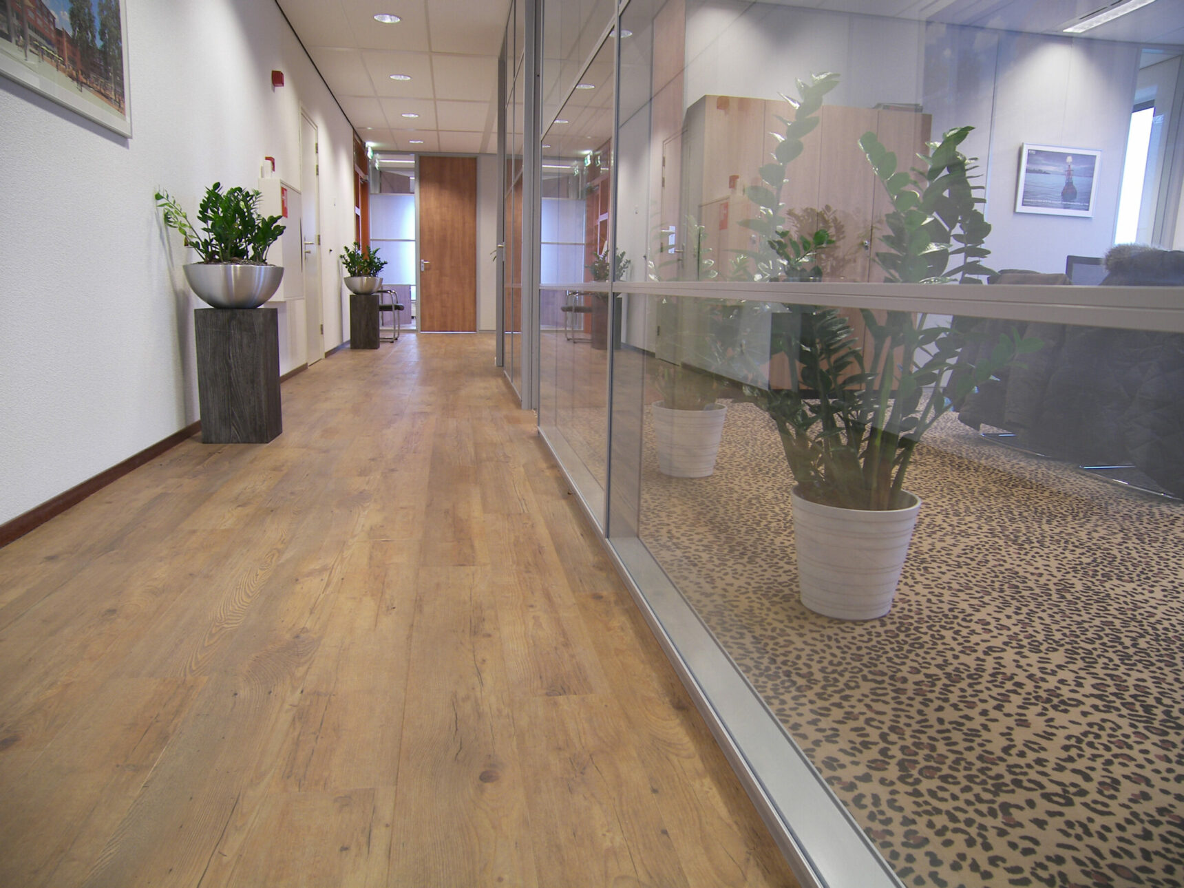 DBZ 100 Elementen dubbelglas wand - Debazis Systeemwanden